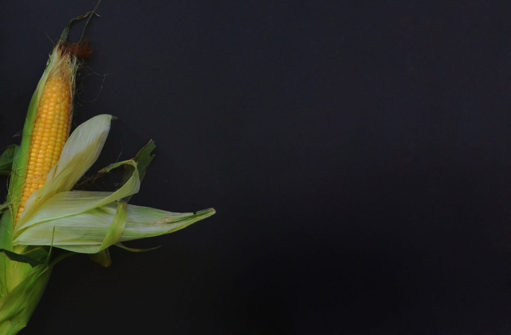 premium-corn | Specialty Food Labels